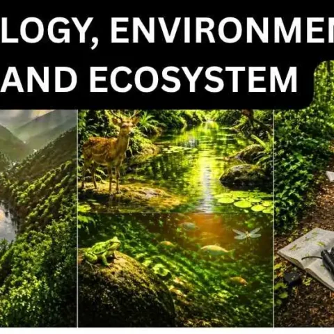 Ecology, Environment and Ecosystem: Key Differences Guide